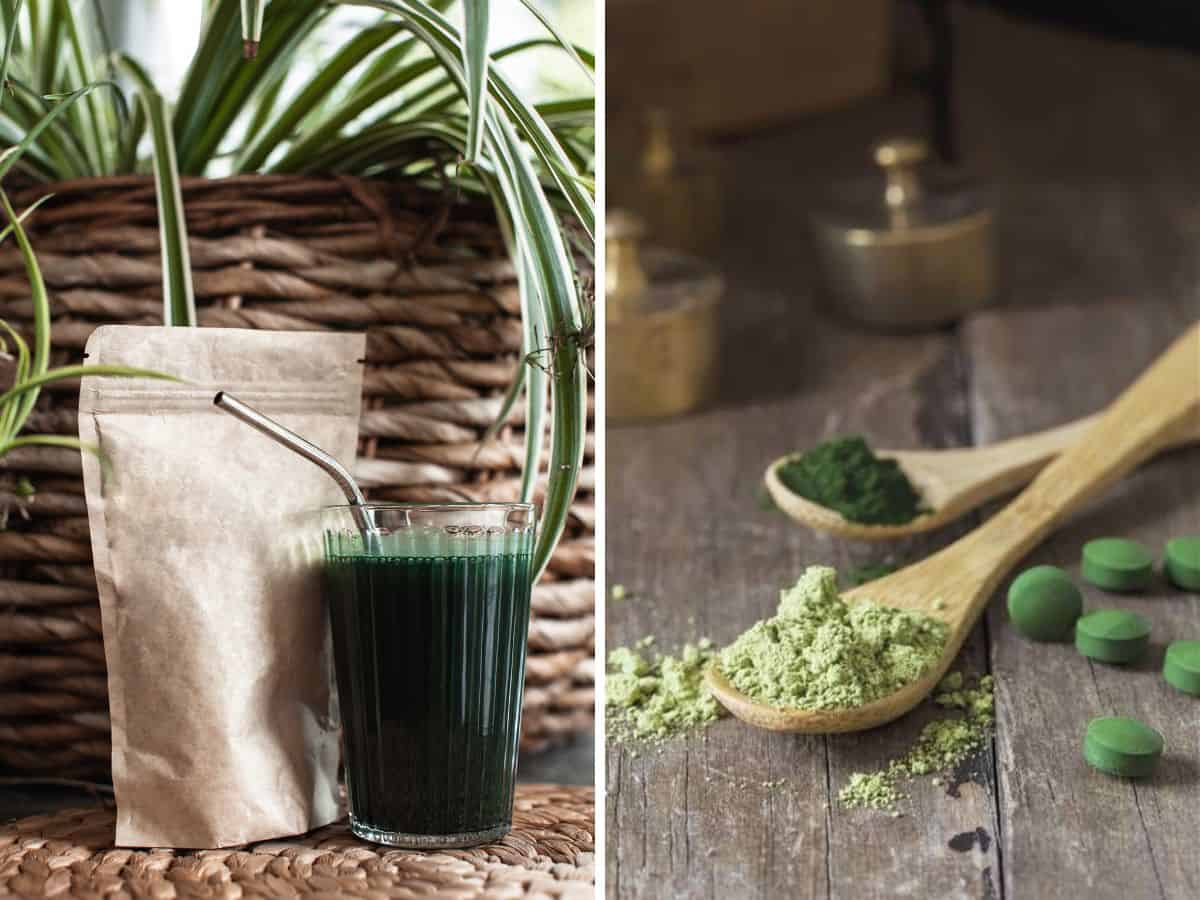 Spirulina - Dnevna doza ove alge ima više željeza od dvije šalice ...