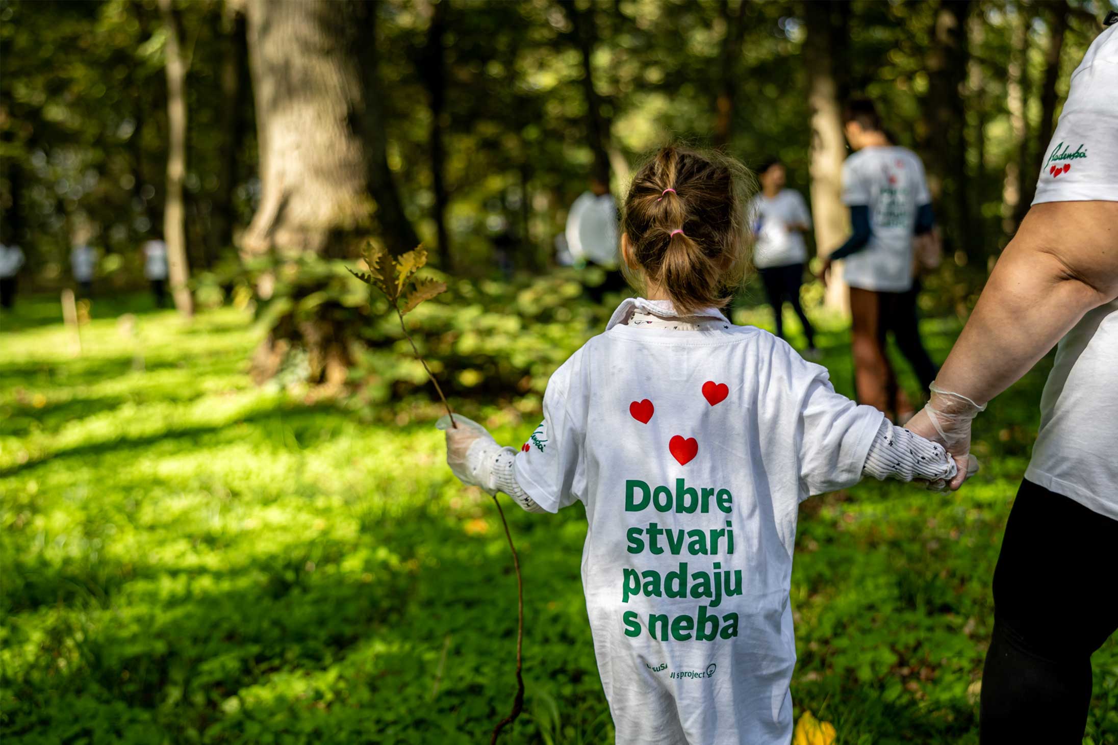 Završena velika akcija pošumljavanja oko Vukovara - Slowliving.hr